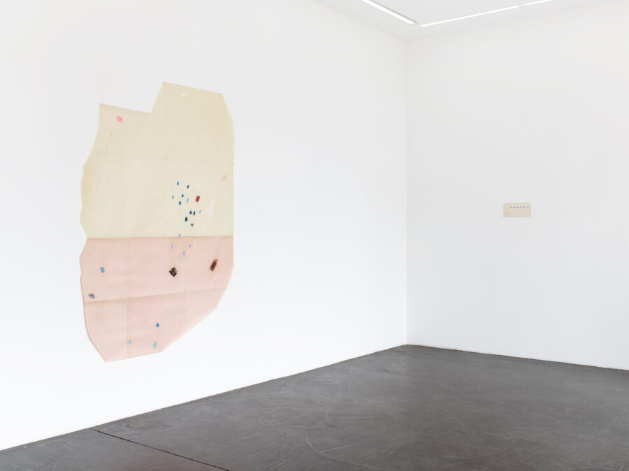 Guy Mees - Galerie Nagel Draxler - Art