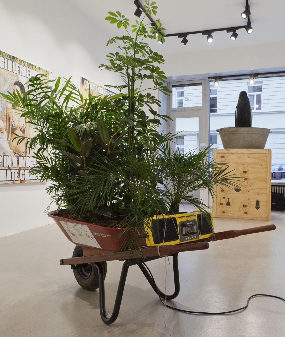 Mark Dion - Galerie Nagel Draxler - Art