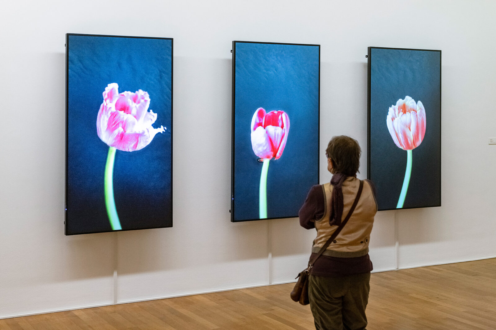 Anna Ridler - Galerie Nagel Draxler - Art