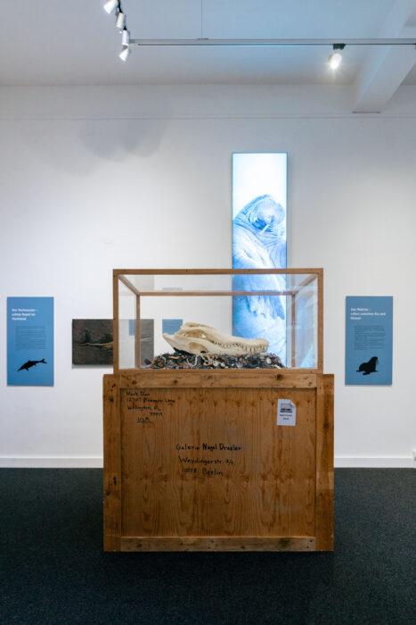 Mark Dion - Galerie Nagel Draxler - Art